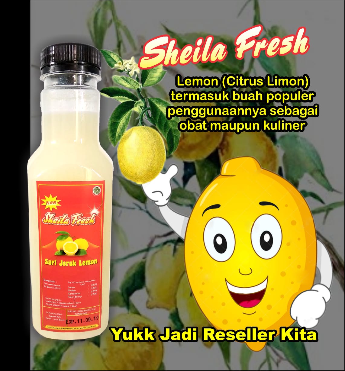 Reseller Sari Lemon Sheila Fresh – SheilaFresh